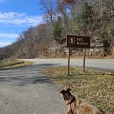 Fall Hollow Falls Trail, Tennessee - 173 Reviews, Map | AllTrails