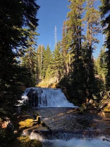 10 Best Trails and Hikes in Sunriver | AllTrails