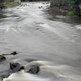 Galatea Point & Dights Falls Loop, Victoria, Australia - 416 Reviews ...