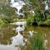 Galatea Point & Dights Falls Loop, Victoria, Australia - 416 Reviews ...
