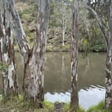 Galatea Point & Dights Falls Loop, Victoria, Australia - 416 Reviews ...