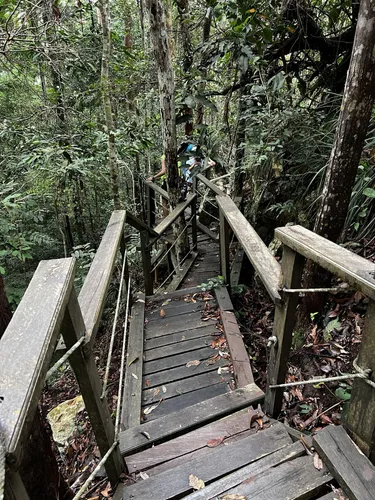 Best Hikes and Trails in Gunung Arong Recreational Forest | AllTrails
