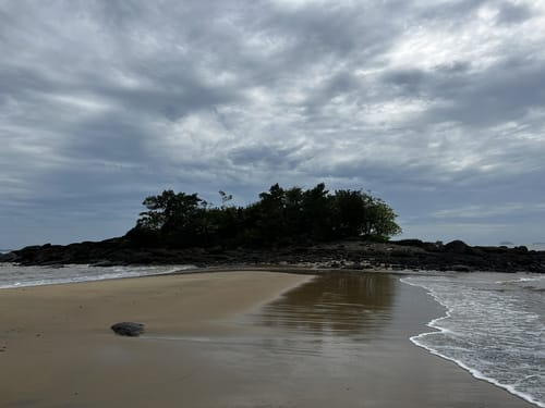 Best Hikes and Trails in Gunung Arong Recreational Forest | AllTrails