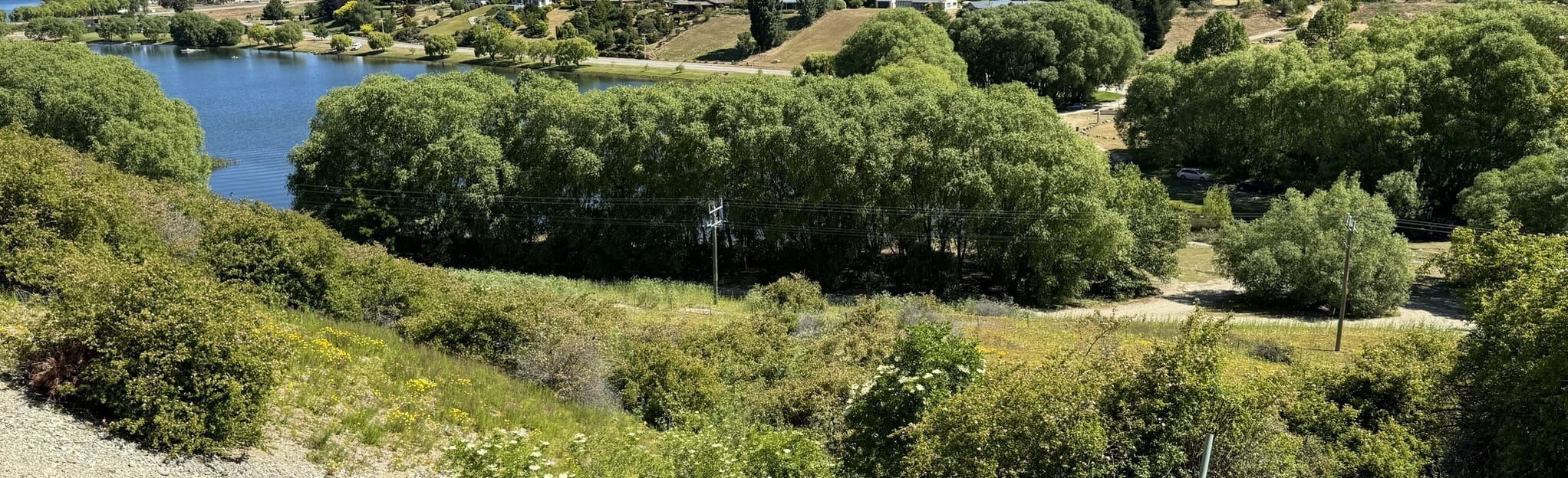 45 Parallel Track, Otago, New Zealand - 37 Reviews, Map | AllTrails
