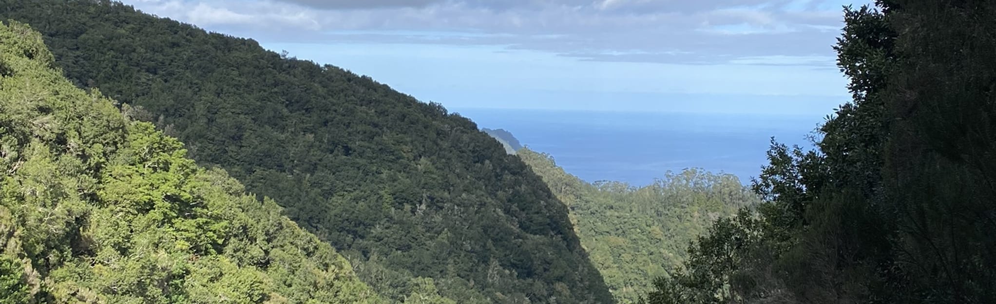 PR10 - Levada do Furado, Madeira, Portugal - 223 Reviews, Map | AllTrails