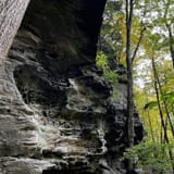 Tanbark Loop, New York - 574 Reviews, Map | AllTrails