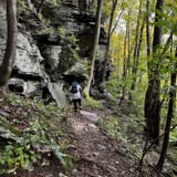 Tanbark Loop, New York - 574 Reviews, Map | AllTrails