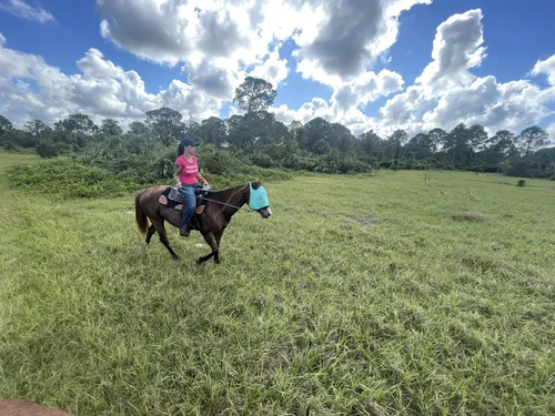 Best Hikes and Trails in Bluefield Preserve | AllTrails