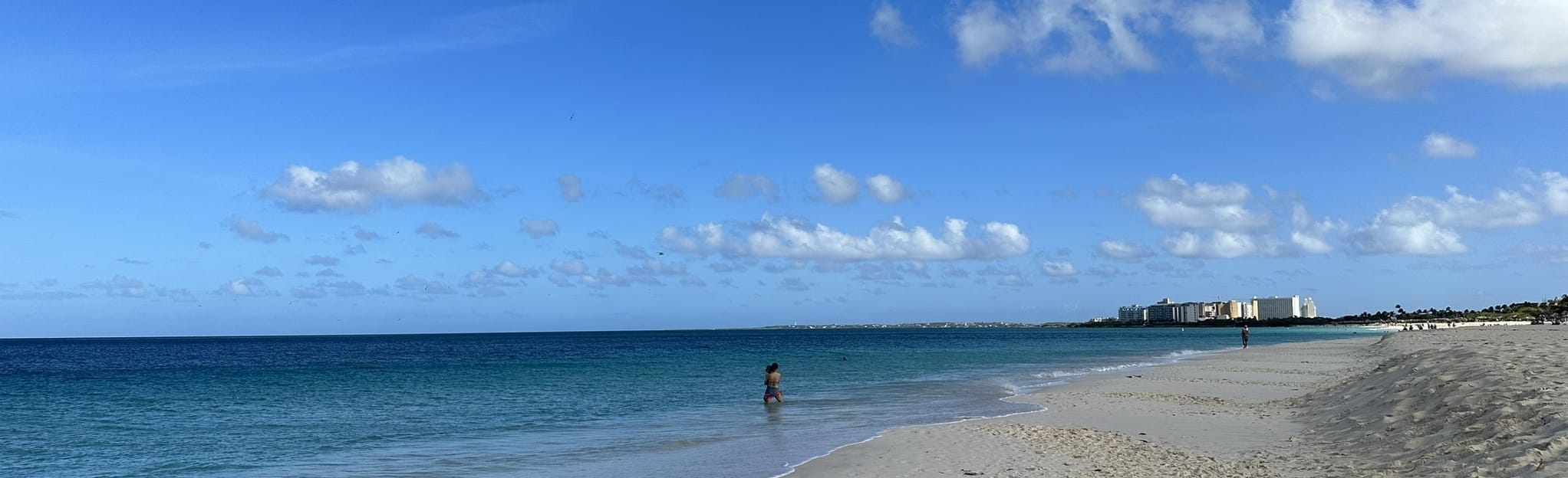 Eagle Beach, Aruba, Aruba - 20 Reviews, Map | AllTrails