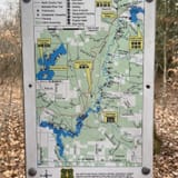 The Manistee River Loop Trail, Michigan - 1,994 Reviews, Map | AllTrails