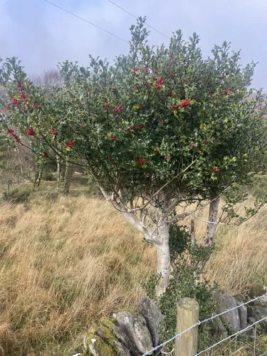 Best Hikes and Trails in Béal Átha an Ghaorthaidh | AllTrails