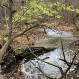 Salt Run, Ohio - 1,174 Reviews, Map | AllTrails