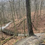 Salt Run, Ohio - 1,174 Reviews, Map | AllTrails