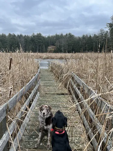 Best Beach Trails in Front of Yonge | AllTrails