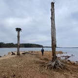 Little Gap Trail, South Carolina - 686 Reviews, Map | AllTrails