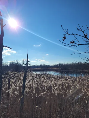 Best Hikes and Trails in Arshamomaque Preserve | AllTrails