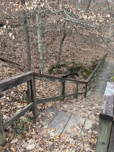 Best Hikes and Trails in Jeff Busby Park | AllTrails