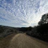 Powder Canyon Loop Trail, California - 2,368 Reviews, Map | AllTrails