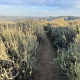 Powder Canyon Loop Trail, California - 2,368 Reviews, Map | AllTrails