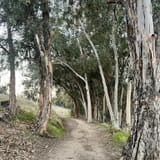 Powder Canyon Loop Trail, California - 2,368 Reviews, Map | AllTrails