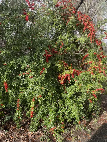 Best Hikes and Trails in Mendocino National Forest | AllTrails