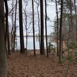 Little Gap Trail, South Carolina - 686 Reviews, Map | AllTrails