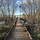 White Rock Lake Trail, Texas - 4,720 Reviews, Map | AllTrails