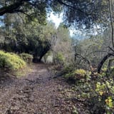 Round Top, Volcanic and Skyline Loop, California - 2,859 Reviews, Map ...