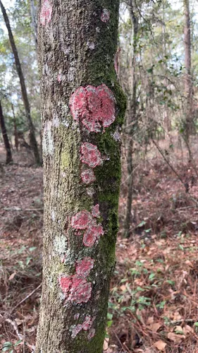 Best 10 Hiking Trails In Tillie K Fowler Regional Park Alltrails
