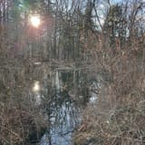Thunder Swamp Trail - North Loop, Pennsylvania - 36 Reviews, Map ...
