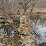 Thunder Swamp Trail - North Loop, Pennsylvania - 36 Reviews, Map ...