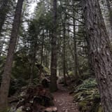 Oyster Dome from Samish Overlook, Washington - 2,359 Reviews, Map ...