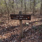Thunder Swamp Trail - North Loop, Pennsylvania - 36 Reviews, Map ...