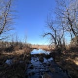 Thunder Swamp Trail - North Loop, Pennsylvania - 29 Reviews, Map ...