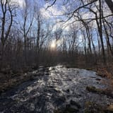 Thunder Swamp Trail - North Loop, Pennsylvania - 29 Reviews, Map ...