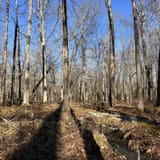 Thunder Swamp Trail - North Loop, Pennsylvania - 36 Reviews, Map ...