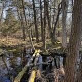 Thunder Swamp Trail - North Loop, Pennsylvania - 36 Reviews, Map ...