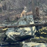 Rachel Carson Greenway Trail, Maryland - 1,045 Reviews, Map | AllTrails
