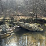 Rachel Carson Greenway Trail, Maryland - 1,045 Reviews, Map | AllTrails