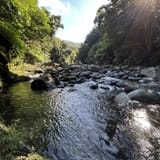 Angelito Trail, East Region, Puerto Rico - 584 Reviews, Map | AllTrails