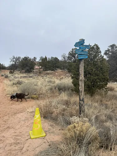 Best Hikes and Trails in Window Rock | AllTrails