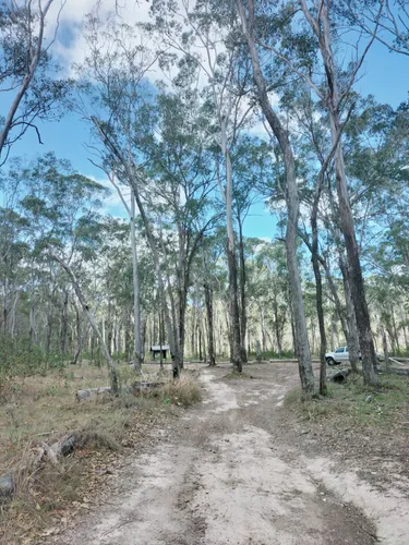 Best Forest Trails in Takura | AllTrails