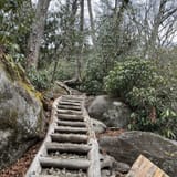 Ramsey Cascades Trail, Tennessee - 2,173 Reviews, Map | AllTrails