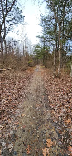 Best Hikes and Trails in Hanging Rock | AllTrails