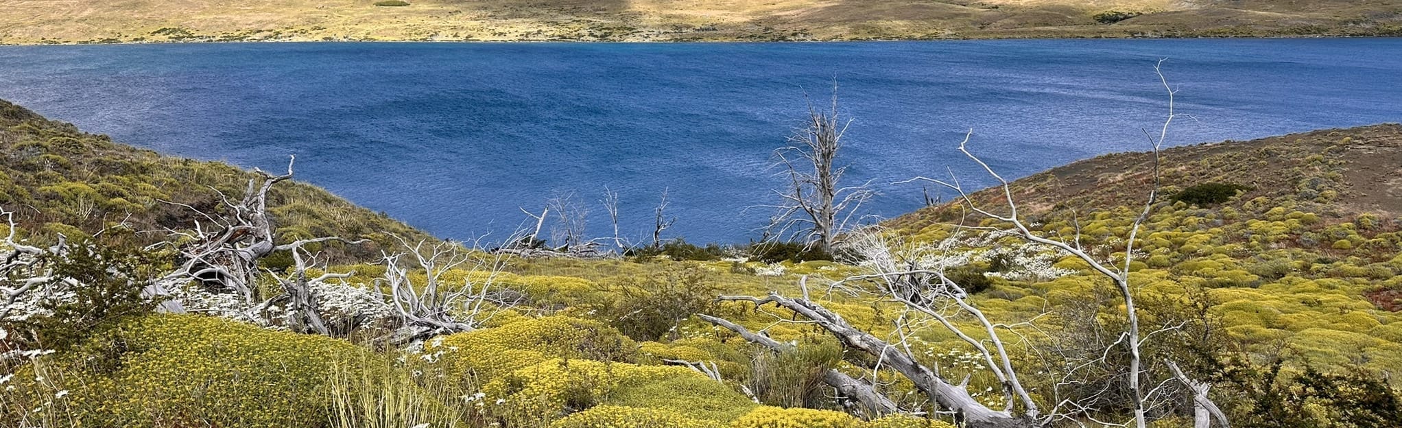 Laguna Azul, Magallanes, Chile - 36 Reviews, Map | AllTrails