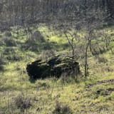 Pilot Knoll Trail, Texas - 620 Reviews, Map | AllTrails