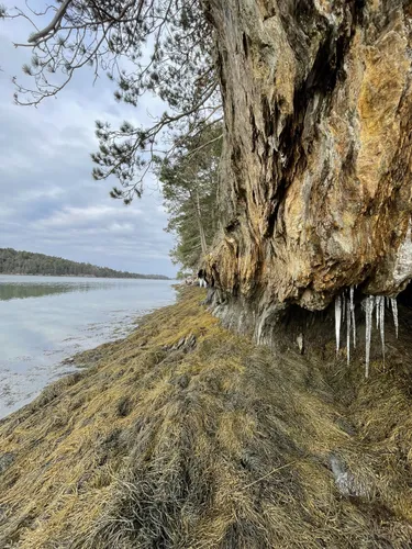 Best Hikes and Trails in Long Reach Preserve | AllTrails