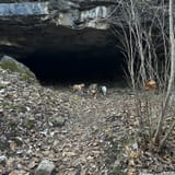 Kaintuck Hollow Acorn Section Trail, Missouri - 117 Reviews, Map ...