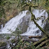 Alsea Falls and Green Peak Falls, Oregon - 1,004 Reviews, Map | AllTrails