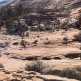 Many Pools Trail, Utah - 1,267 Reviews, Map | AllTrails